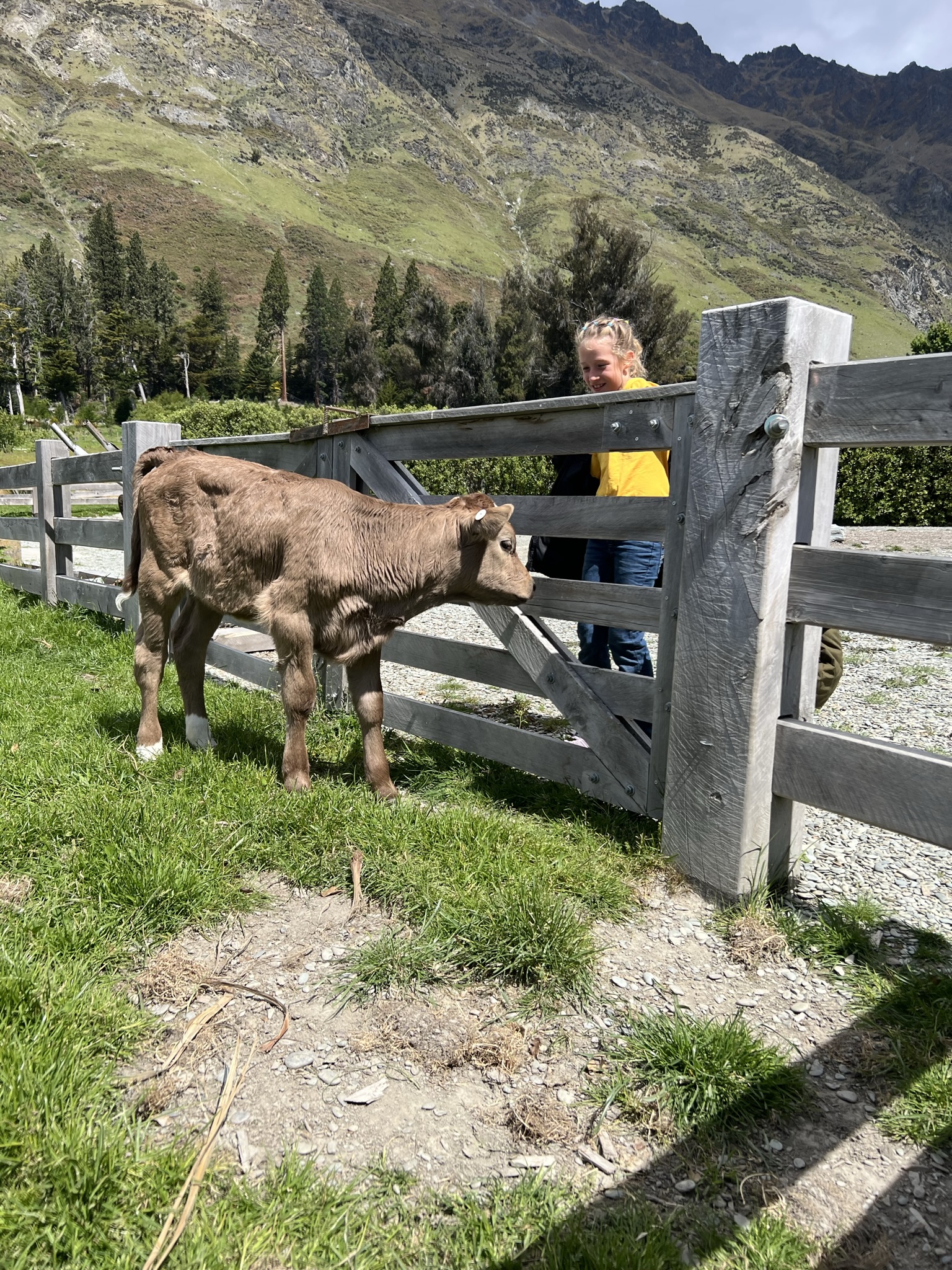 TSS Earnslaw and Walter Peak High Country Farm Tour – Work. Play. Mommy.